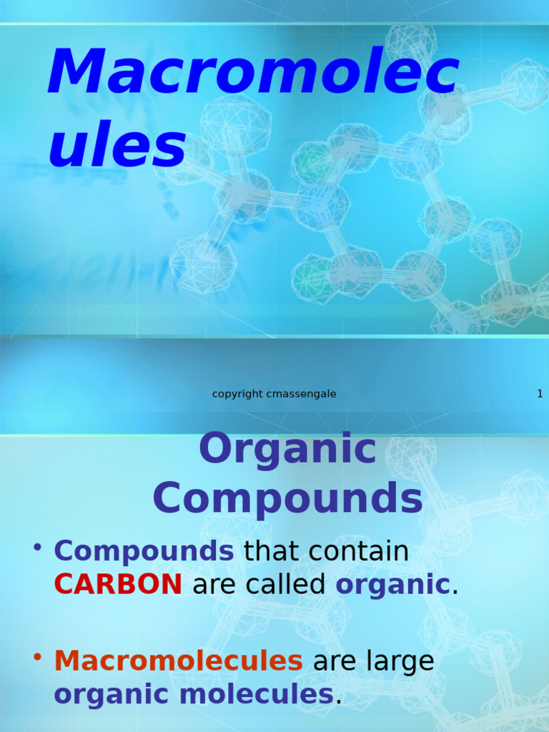 02 - Macromolecules Notes | PDF | Carbohydrates | Lipid