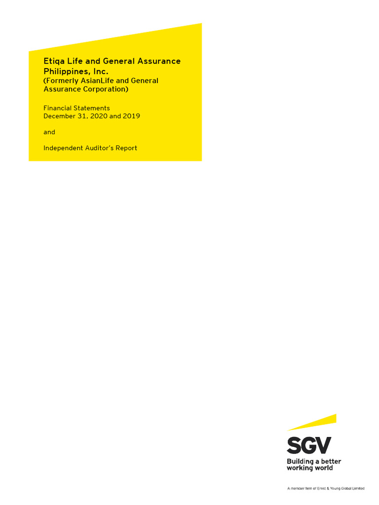 2020 Annual Financial Statements of ELGAP | PDF | Going Concern | Insurance