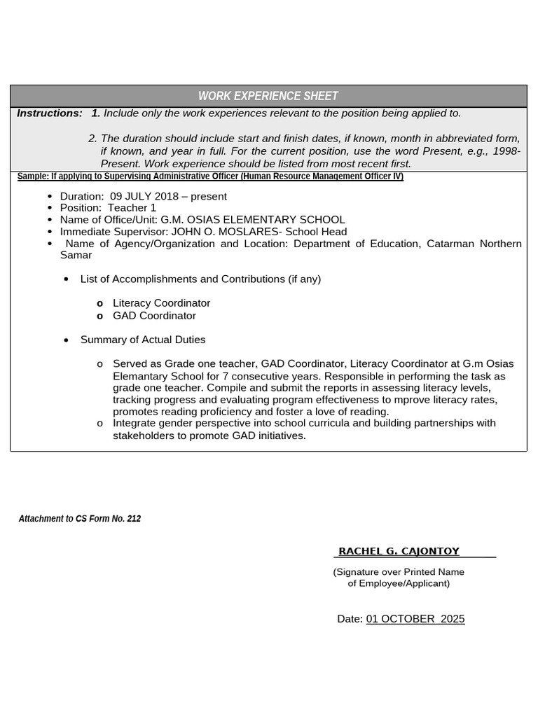 Rachels Work Experience Sheet | PDF