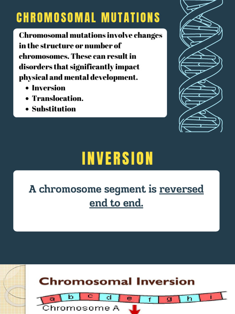 Understanding Chromosomal Mutations | PDF | Genetic Disorder | Medical ...