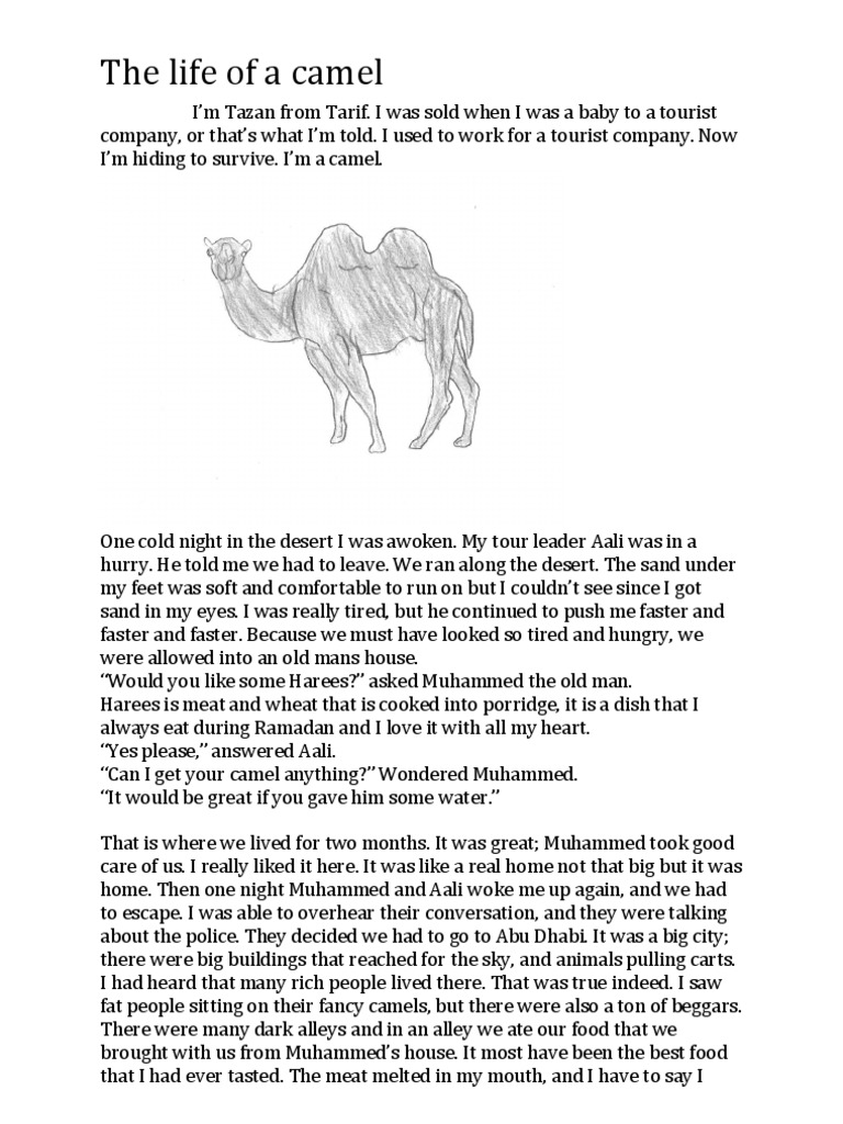 The Life of A Camel | PDF