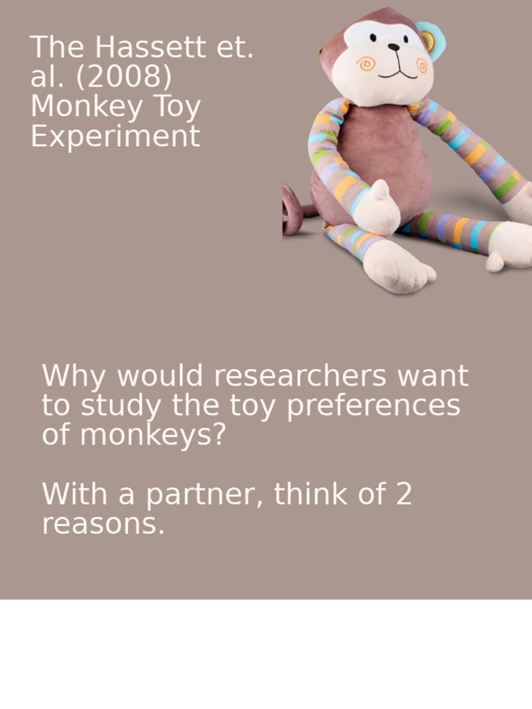 Hassett Et Al Monkey Toys - A Better One | PDF | Toys | Gender