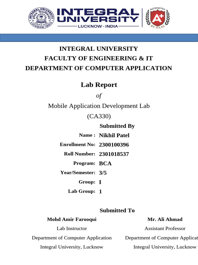Amir Farooqui | PDF
