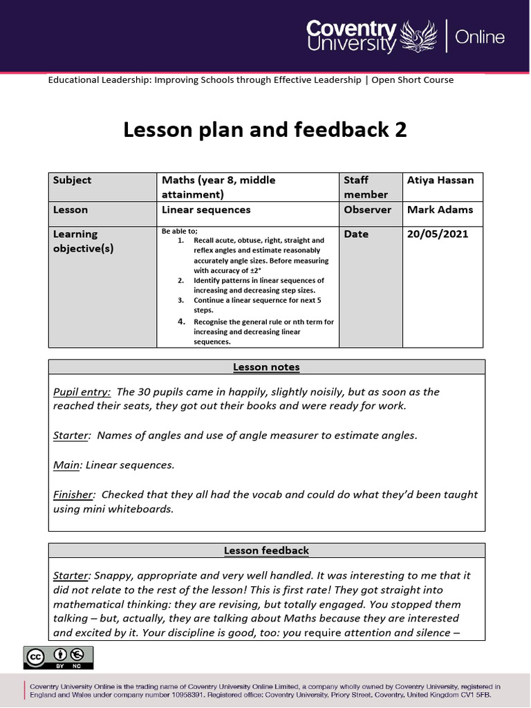 Effective Maths Lesson Plan Feedback | PDF | Cognitive Science | Cognition