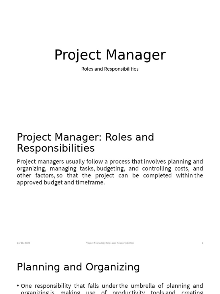 2.0 Project Manager - Roles & Responsibilities | PDF