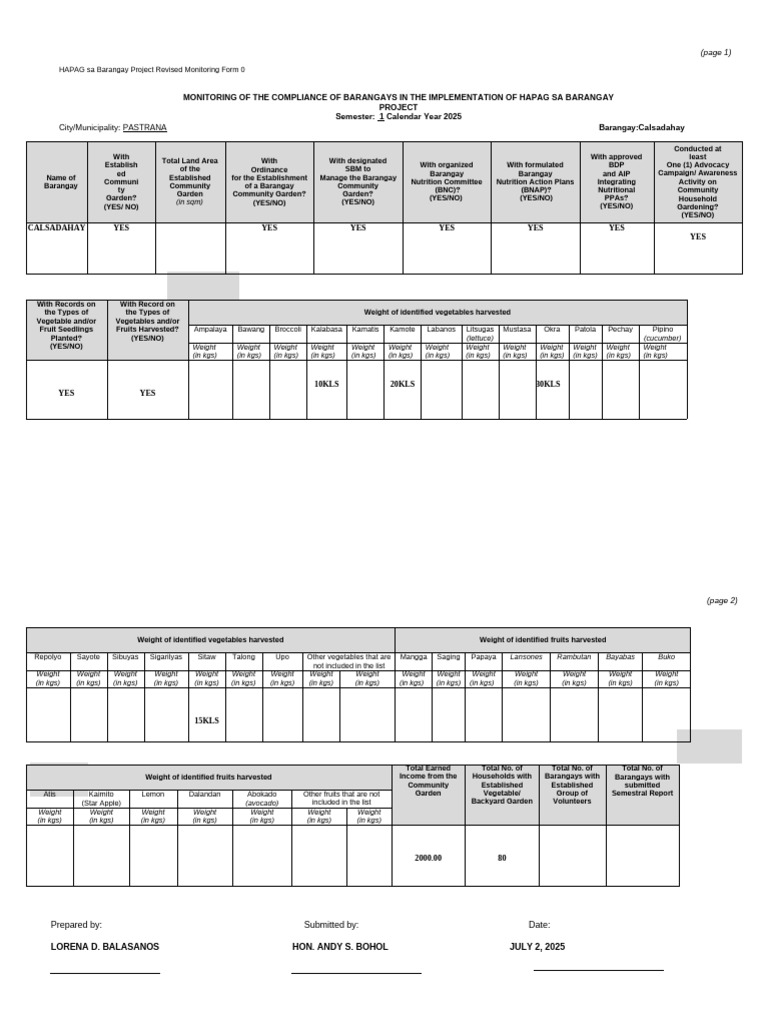 HAPAG Revised Form For Barangays | PDF