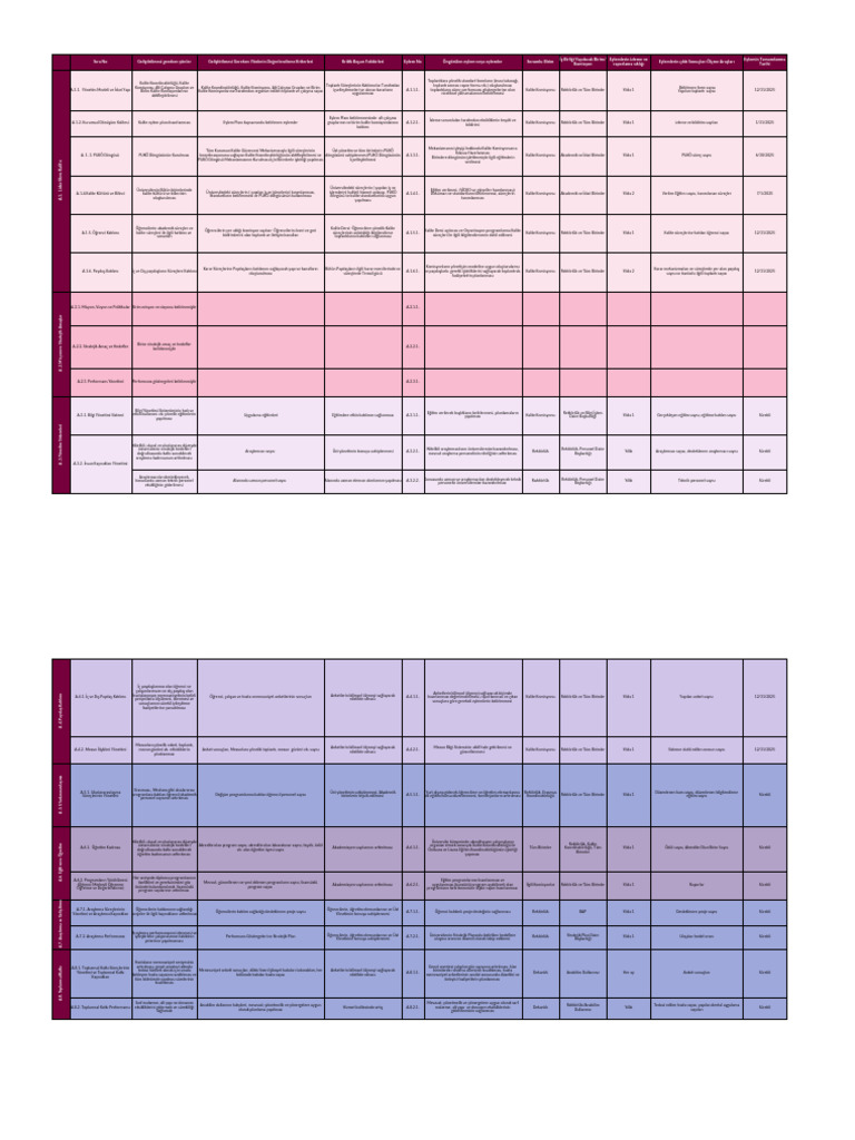 Odu DHF Eylem Plani 2025 | PDF