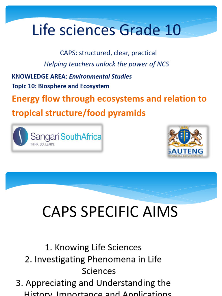 PP24. Energy Flow and Nutrient Cycles New | PDF | Food Web | Water