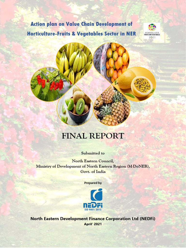 Final Report - Action Plan On Value Chain Development of Horticulture-Fruits & Vegetables Sector ...