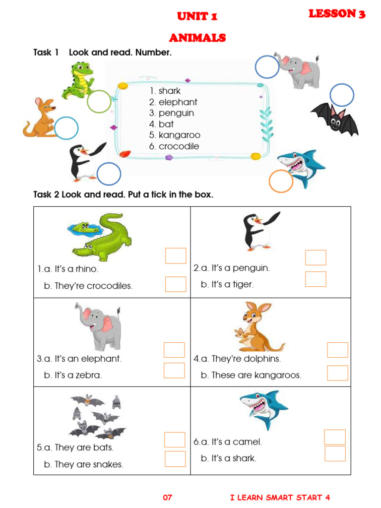 Animal Recognition and Vocabulary Activities | PDF | Fin | Zoology