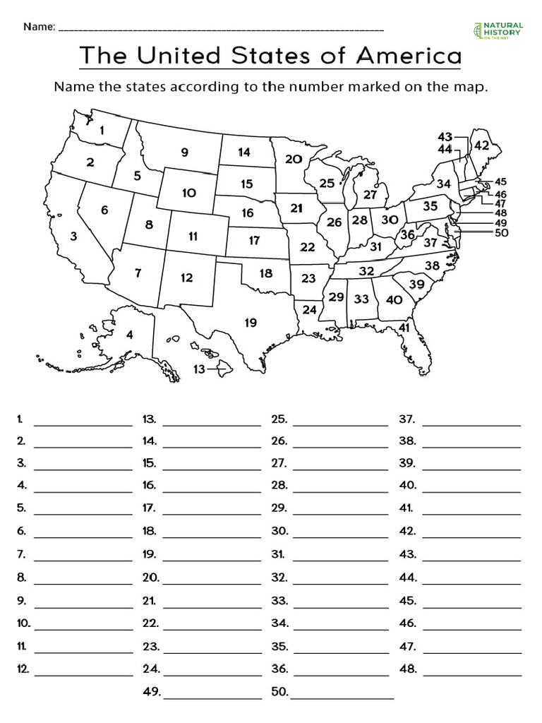 50 States Worksheets | PDF