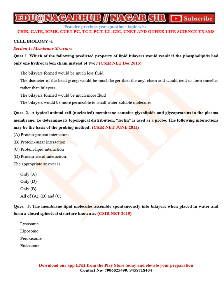 Plasma Membrane structure-1 | PDF | Cell Membrane | Lipid Bilayer