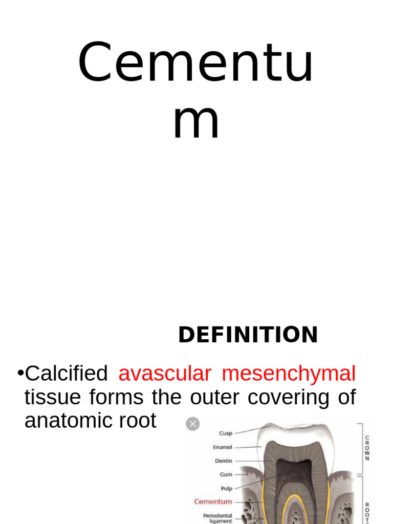 CEMENTUM | PDF | Dentistry | Dentistry Branches