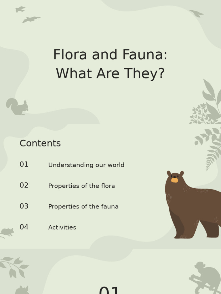 En - Flora and Fauna - What Are They? by Slidesgo | PDF | Plants | Habitat