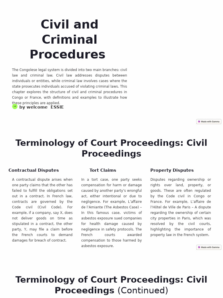 Civil and Criminal Procedures in France | PDF | Prosecutor | Trials