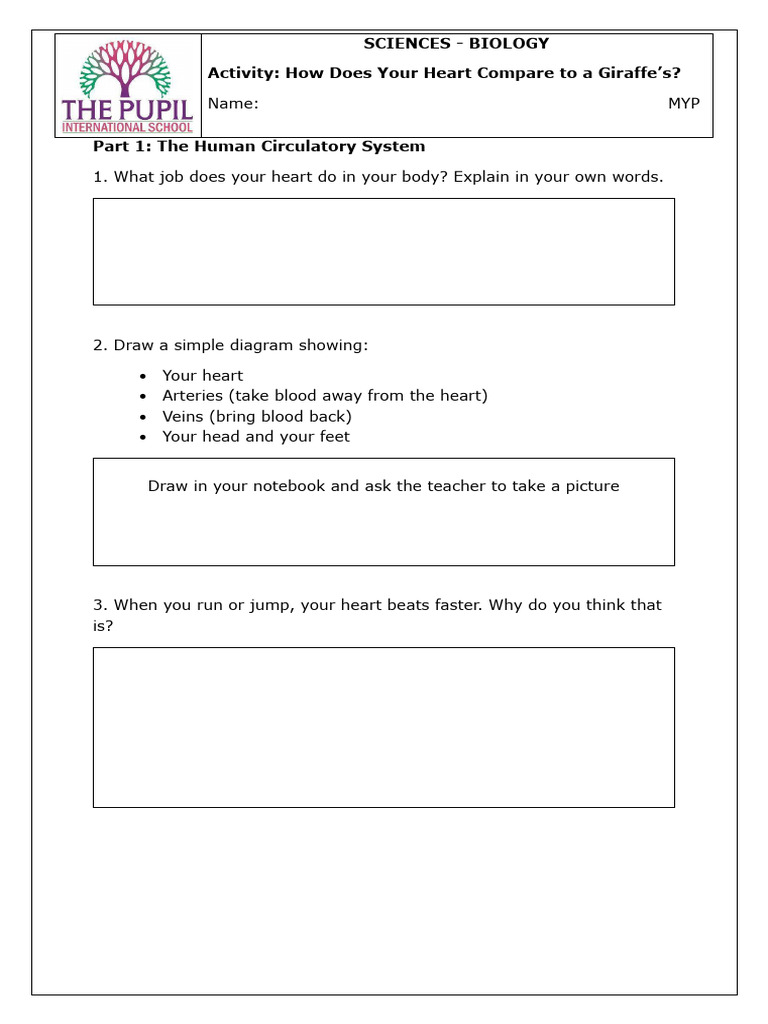Activity Task Worksheet MYP Girafee Circulatory System | PDF