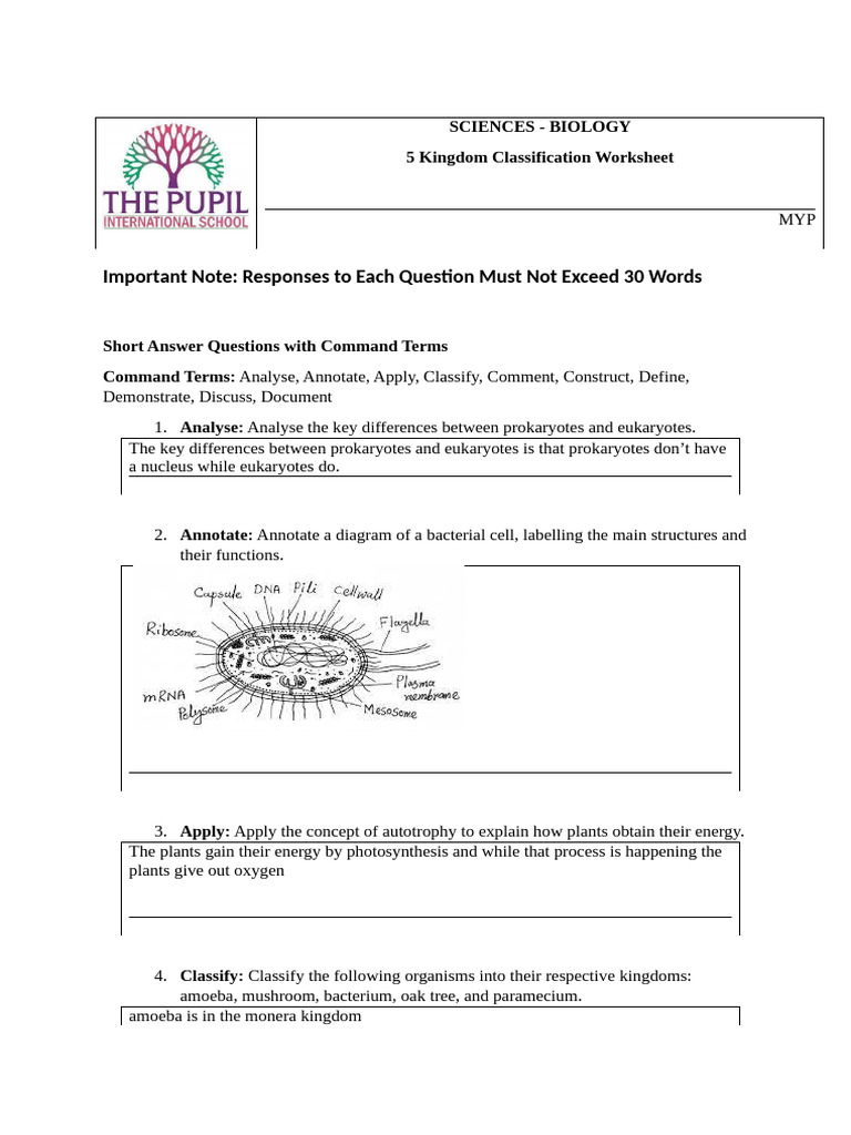 LE 1 5 Kingdom Classification Worksheet Form 7 Biology Pranav | PDF