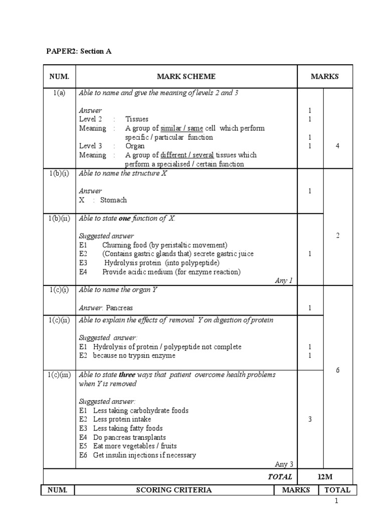 Scheme Bio Paper 2 2011 | PDF | Chemical Synapse | Neuron