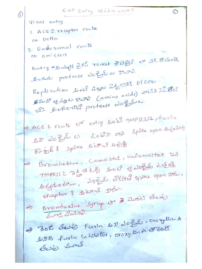 Cell Entry Apadam Ela | PDF
