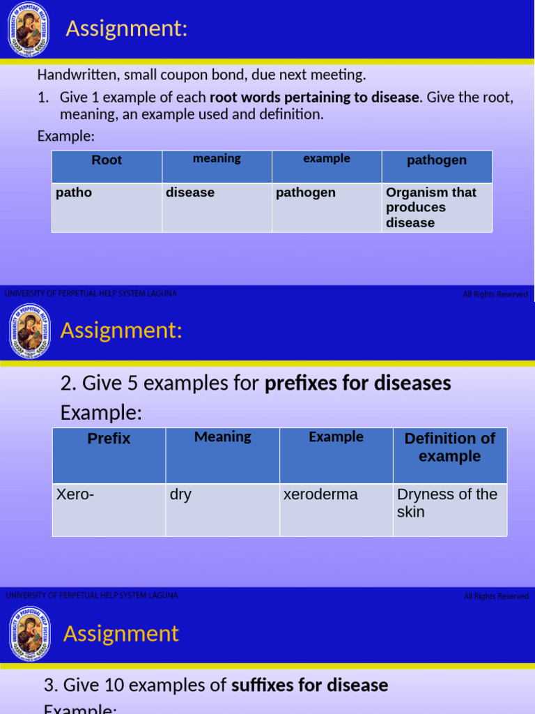 Assignment Med Term | PDF