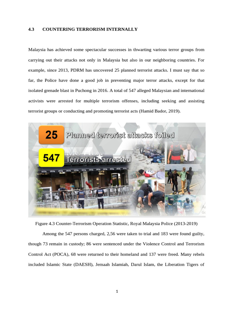 Countering Terrorism Internally | PDF | Insurgency | National Security