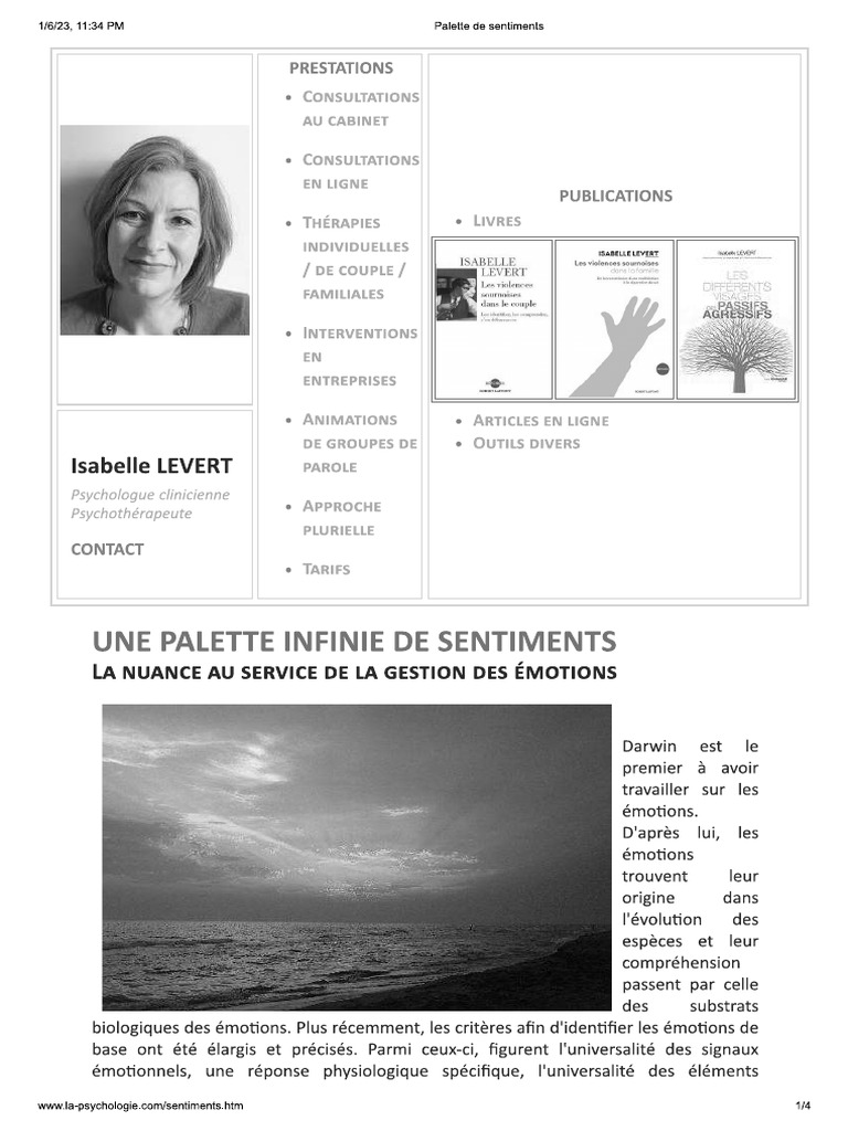 Emo 2 | PDF