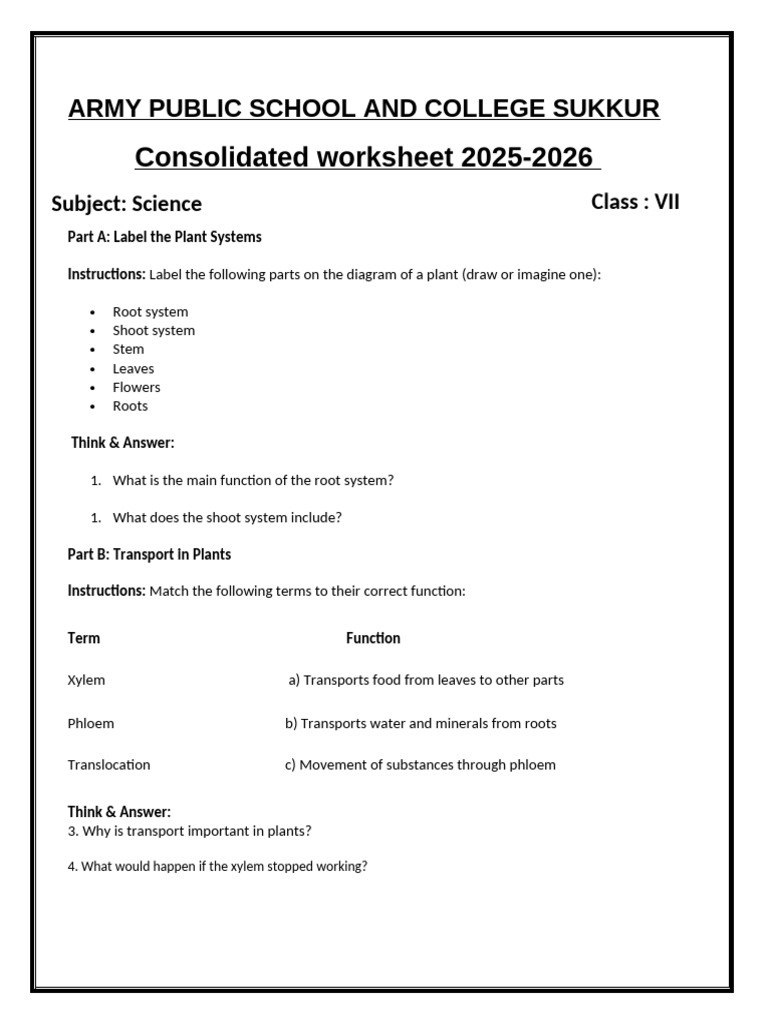 New Worksheet Class VII 1st Term | PDF