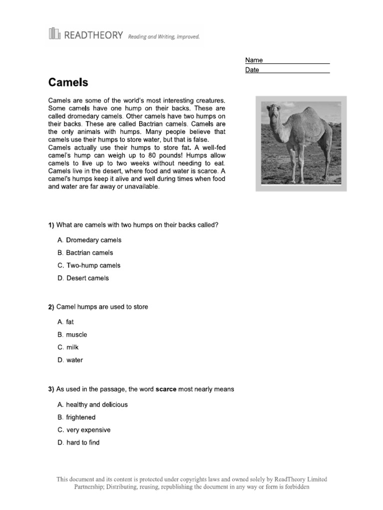 NGRT Comprehension | PDF