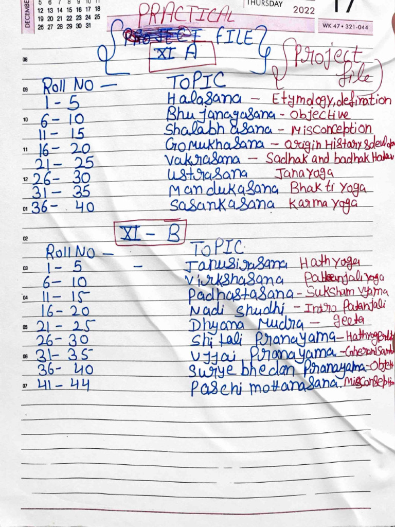 Practical & Project Topic 11a5to 11E | PDF
