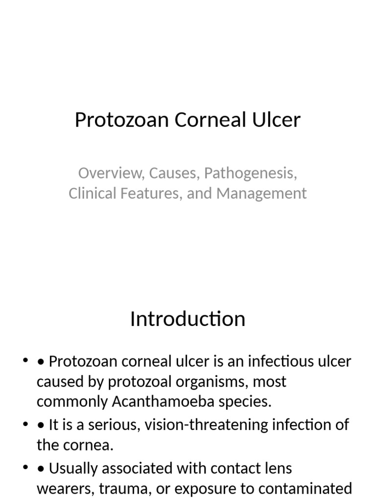 Protozoan Corneal Ulcer Presentation | PDF | Contact Lens | Human Eye