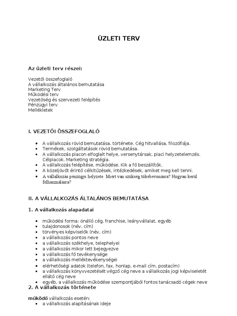 Uzleti Terv Minta | PDF