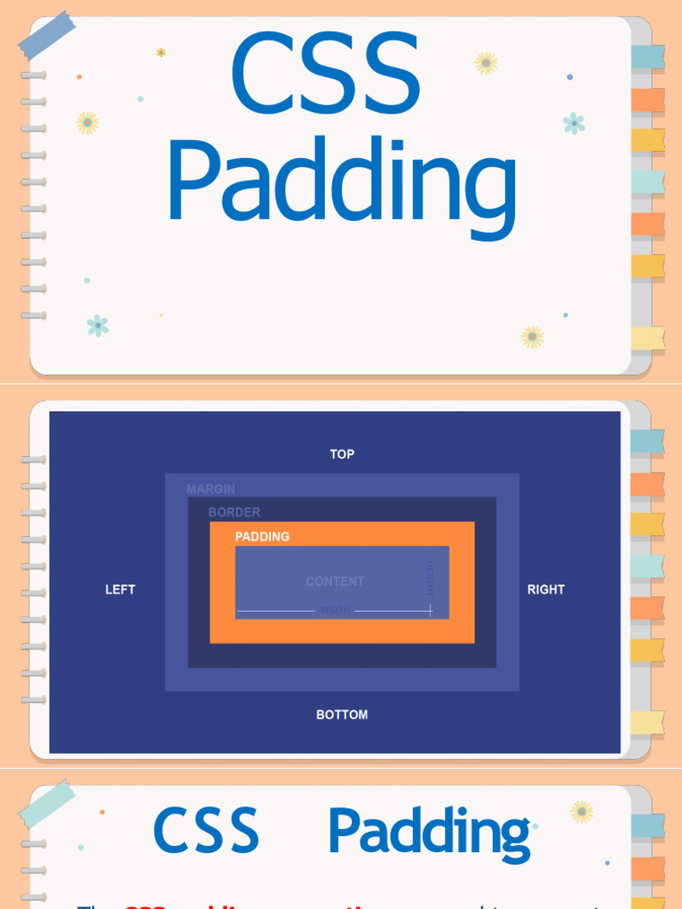CSS Padding | PDF