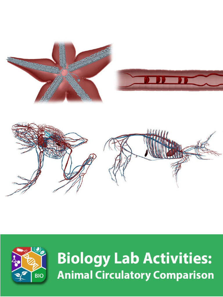 Visible Biology Site License Lab Activities Animal Circulatory ...