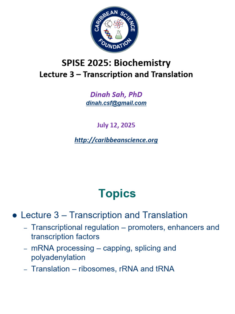 Transcription and Translation Overview | PDF | Rna | Genetic Code