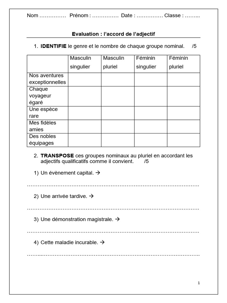 Évaluation sur l'accord de l'adjectif | PDF
