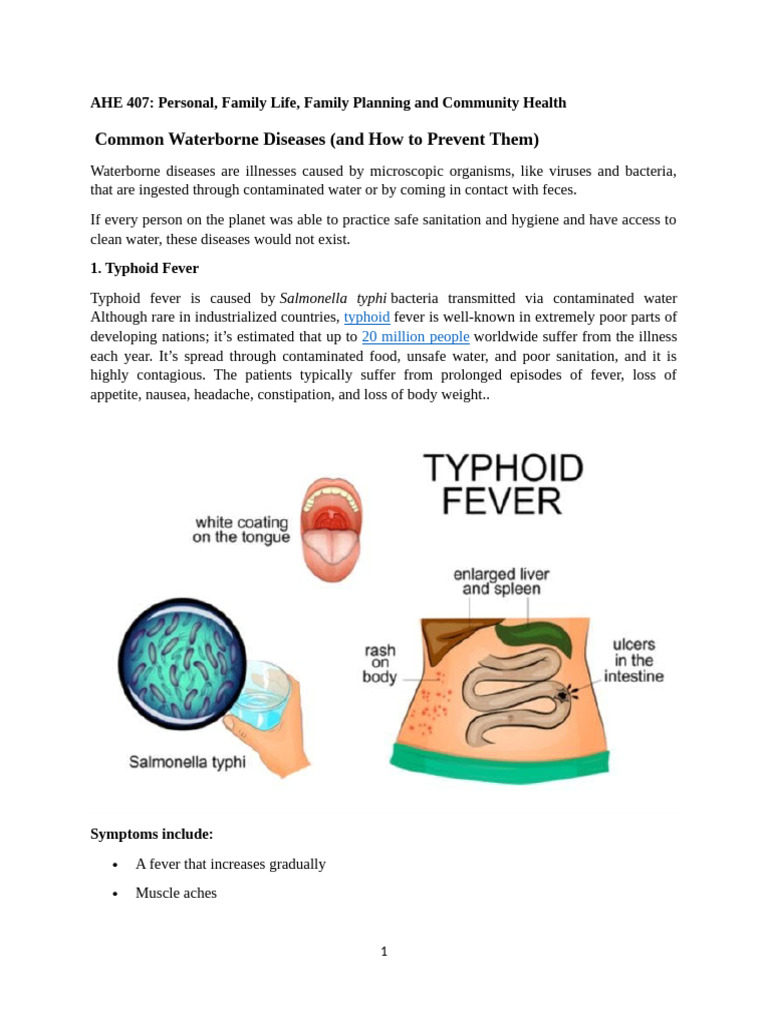 Preventing Common Waterborne Diseases | PDF | Diarrhea | Cholera
