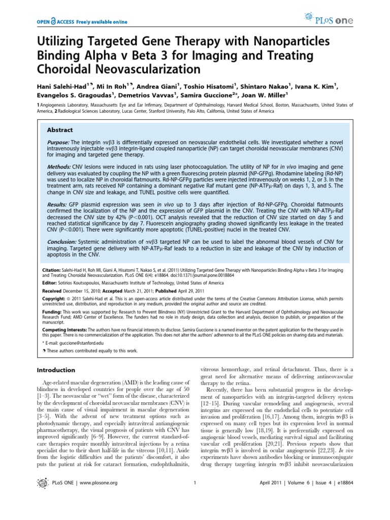 Utilizing Targeted Gene Therapy With Nano Particles Binding Alpha V ...
