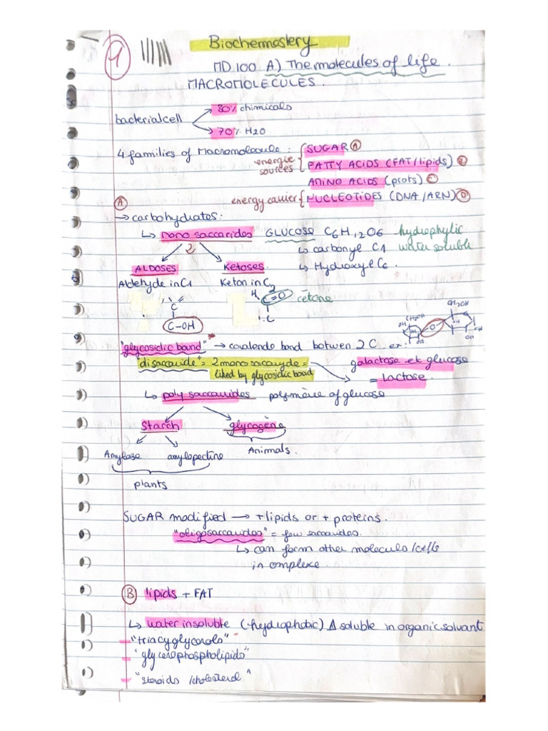 Bioch 1 | PDF