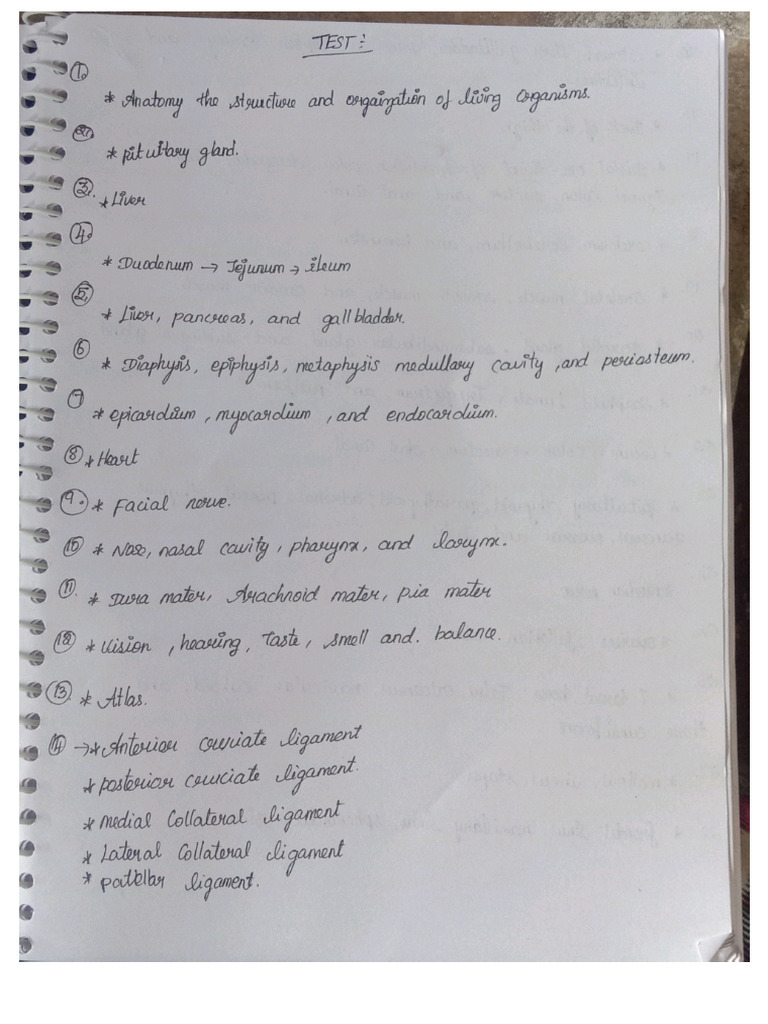 PDF Gallery - 20251012 - 113015 | PDF