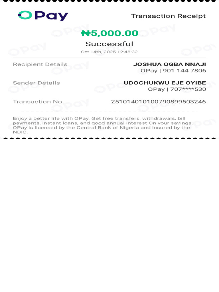OPAY Transaction Receipt - ₦5,000 Successful | PDF
