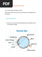 Human Eye and Colourful World Notes | PDF | Eye | Human Eye