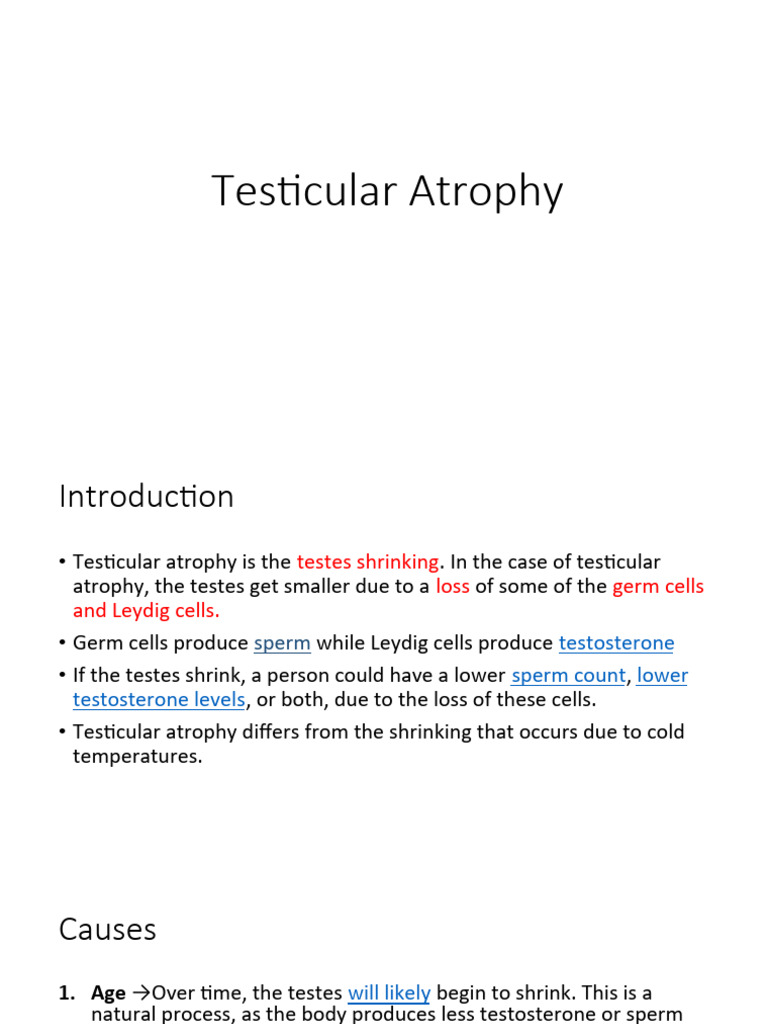Testicular Atrophy Pathology Protected | PDF | Testicle | Endocrine System