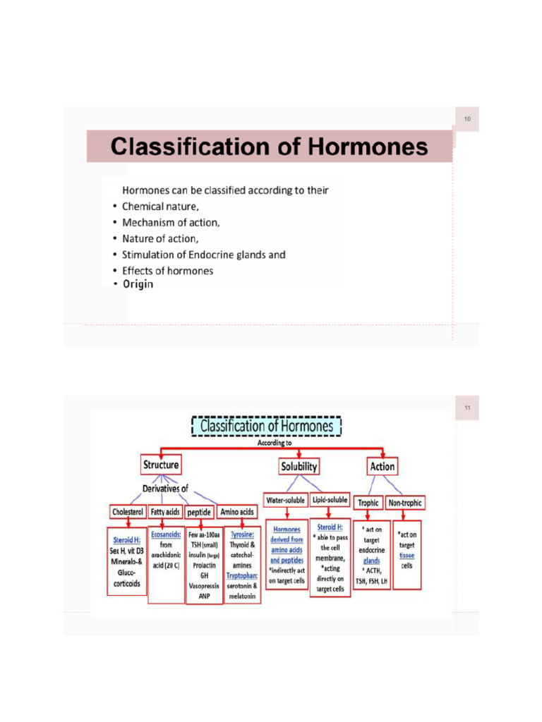 Classification of Hormones | PDF