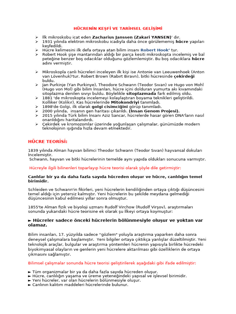 HUCRE VE ORGANELLERI YAZI ODEVI (2.1.b) | PDF