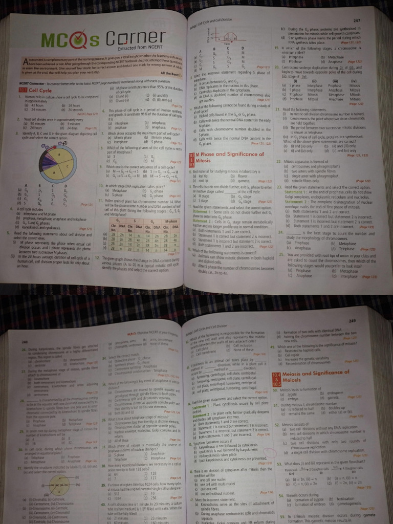 Cell Cycle Cell Division MTG | PDF