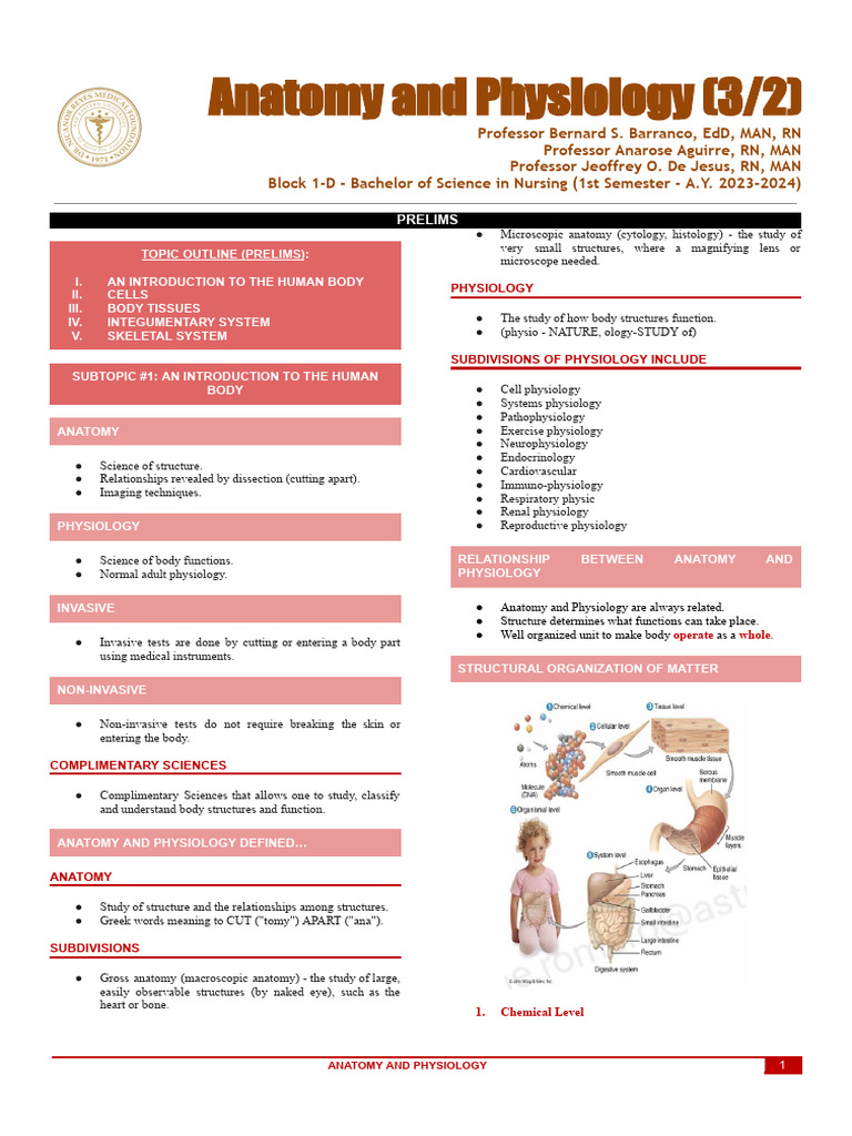Anatomy and Physiology | PDF | Human Body | Homeostasis