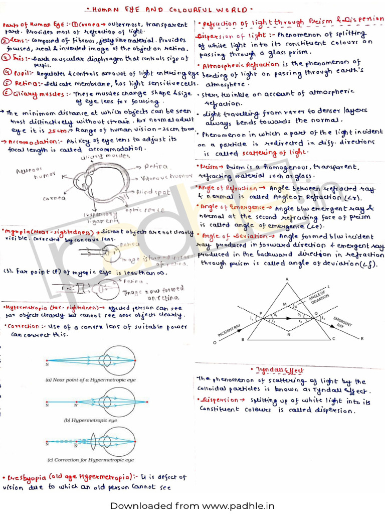 Human and Colourful World Notes | PDF