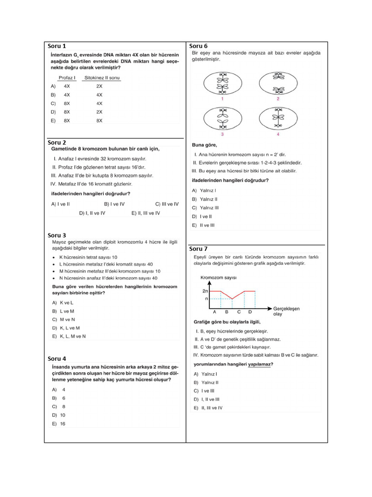 Biyo 5 | PDF