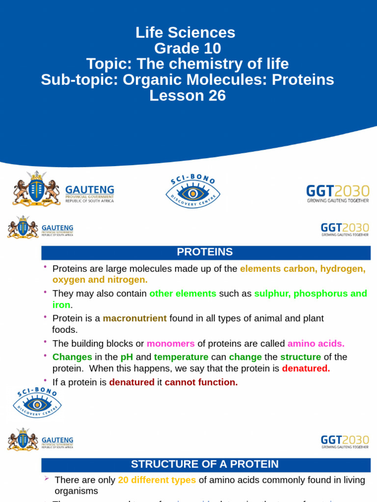 Life Sciences Gr.10 Lesson 26 Organic Molecules (Proteins) | PDF ...