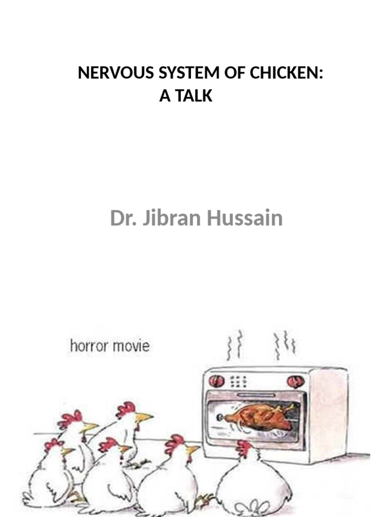 Nervous System Overview in Chickens | PDF | Central Nervous System ...